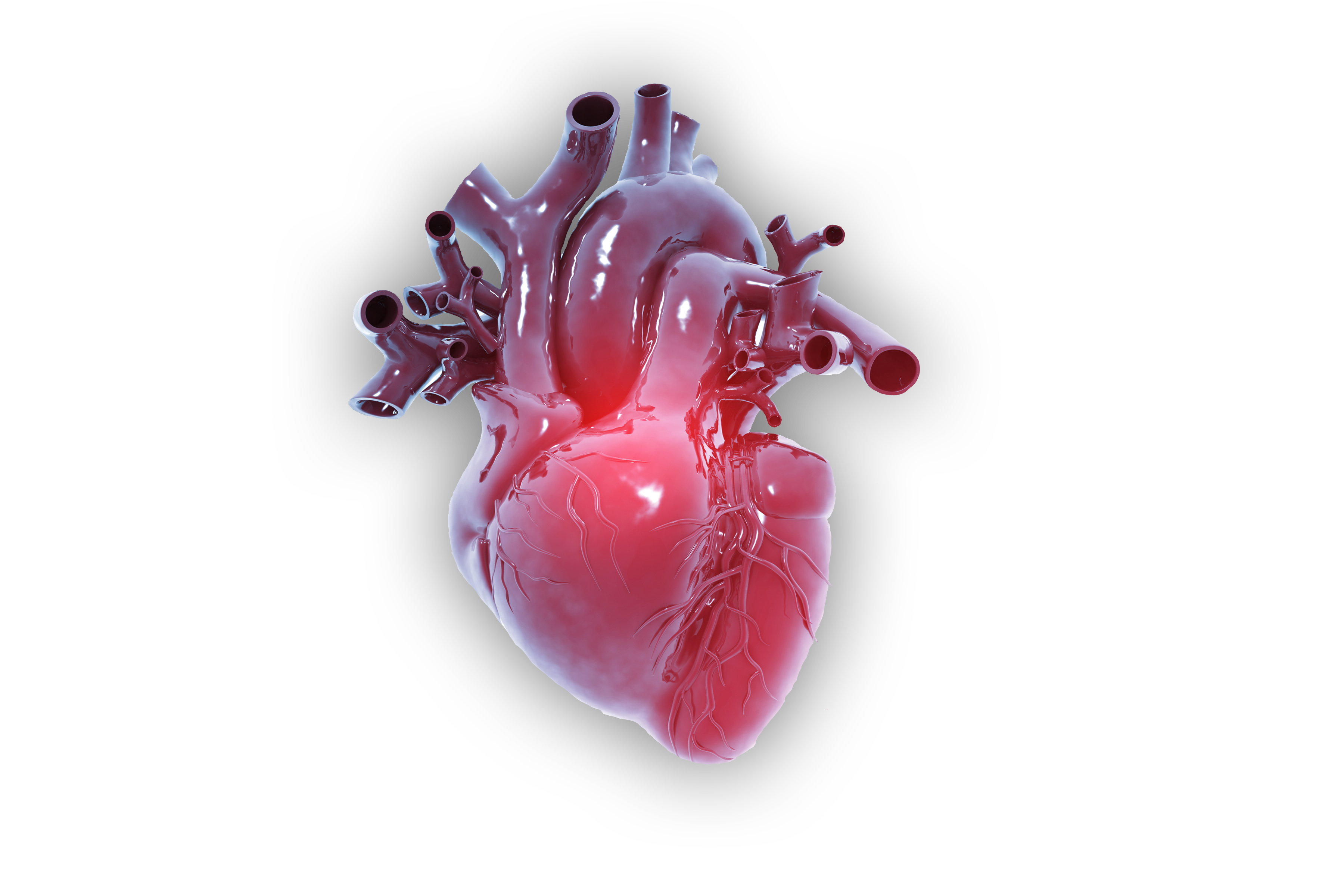 Precision Image Analysis (PIA) - 3D Medical Image Post-Processing